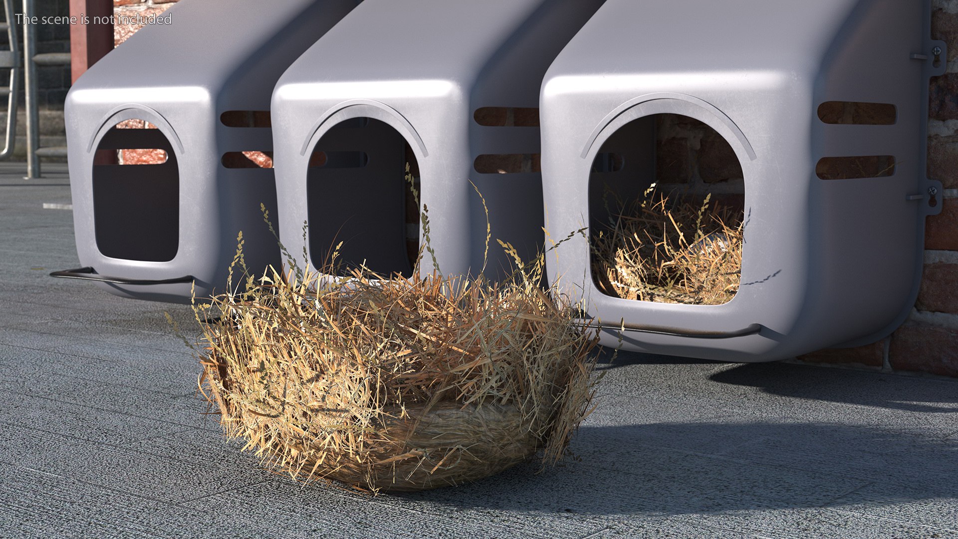 Bird Nests Collection 3D Model - TurboSquid 2209215