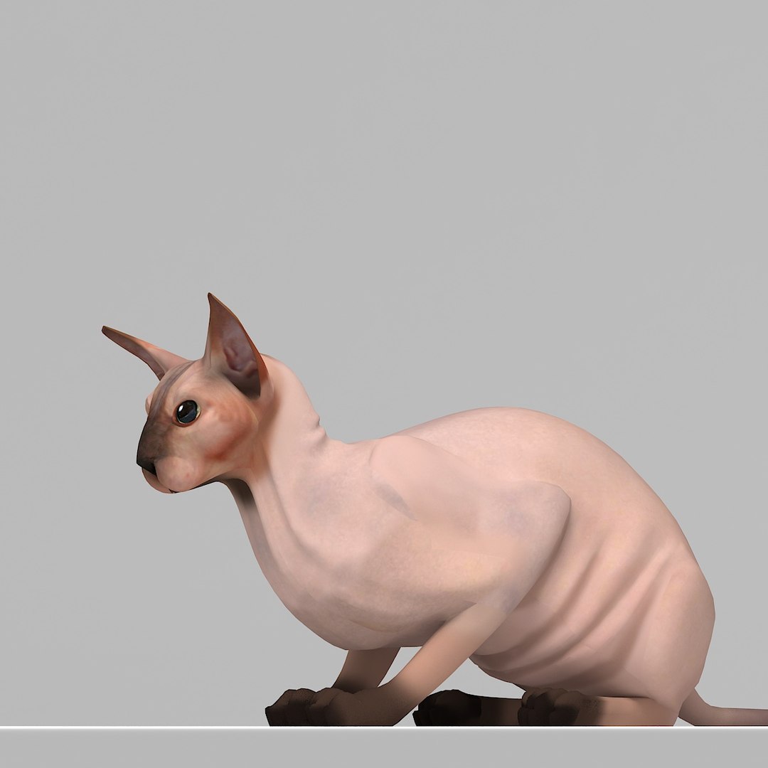 Pedigree Cat Max