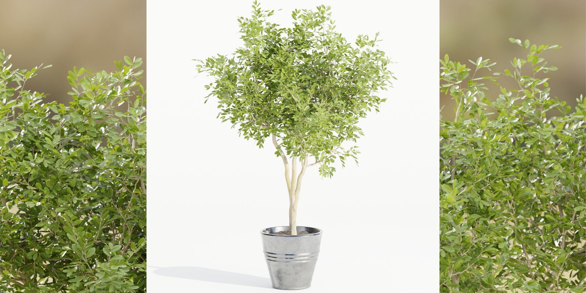 Indoor Outdoor Collection Vol 66-Blender 3D Model - TurboSquid 2123740