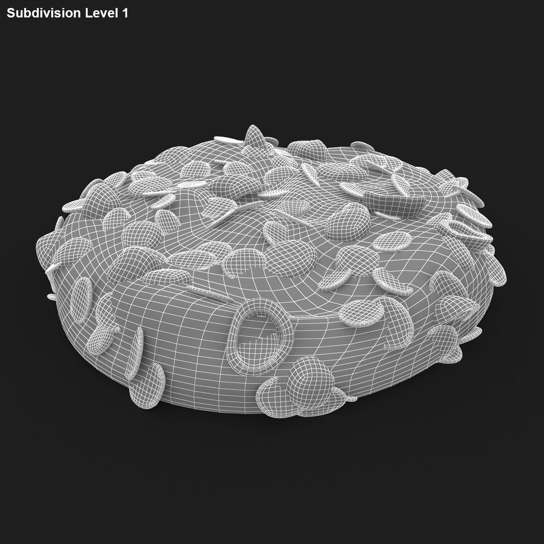 3d Model Cookie Health