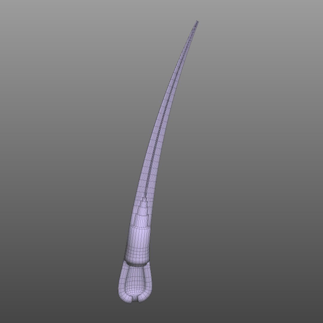 3D Human Hair Model - TurboSquid 1520185