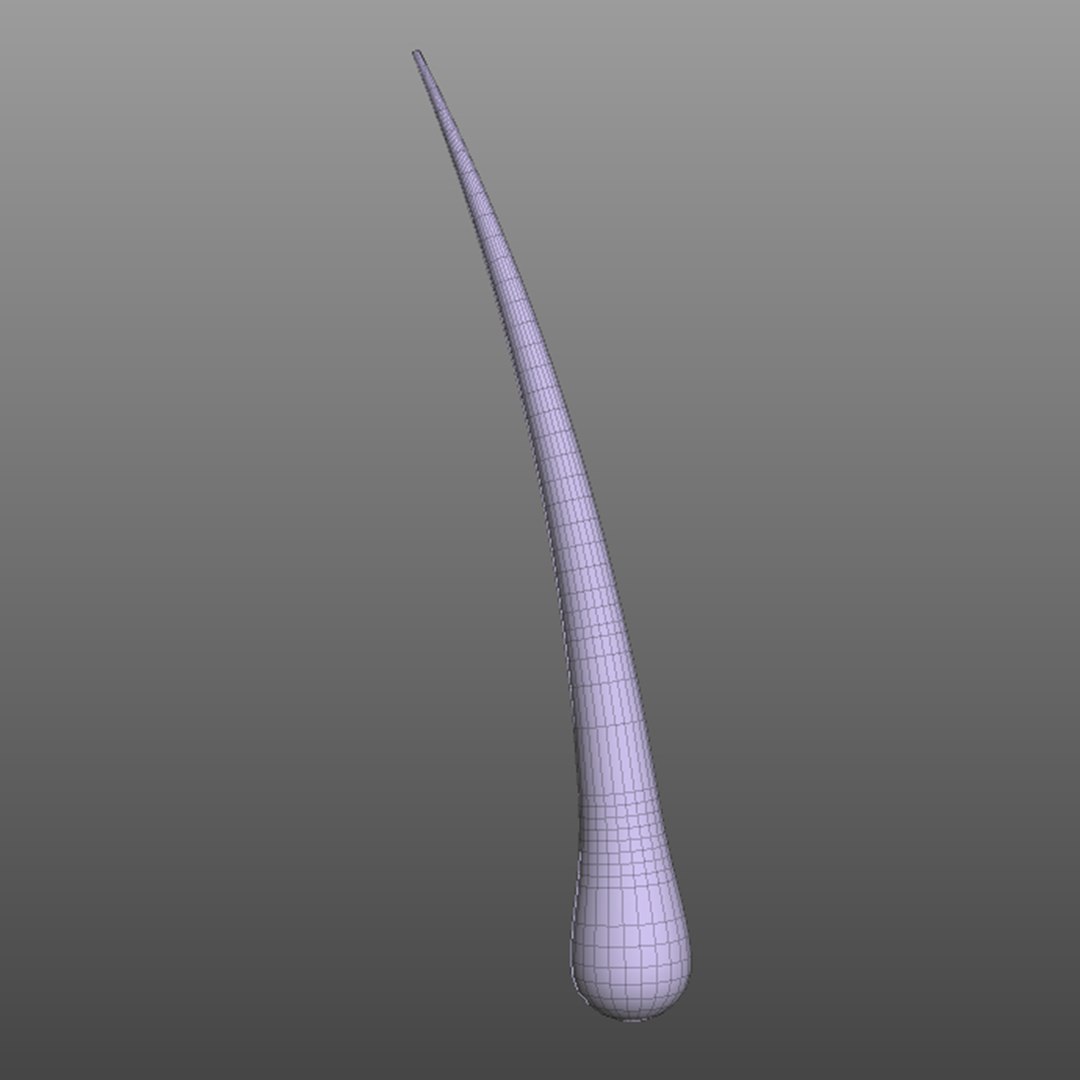 3D Human Hair Model - TurboSquid 1520185