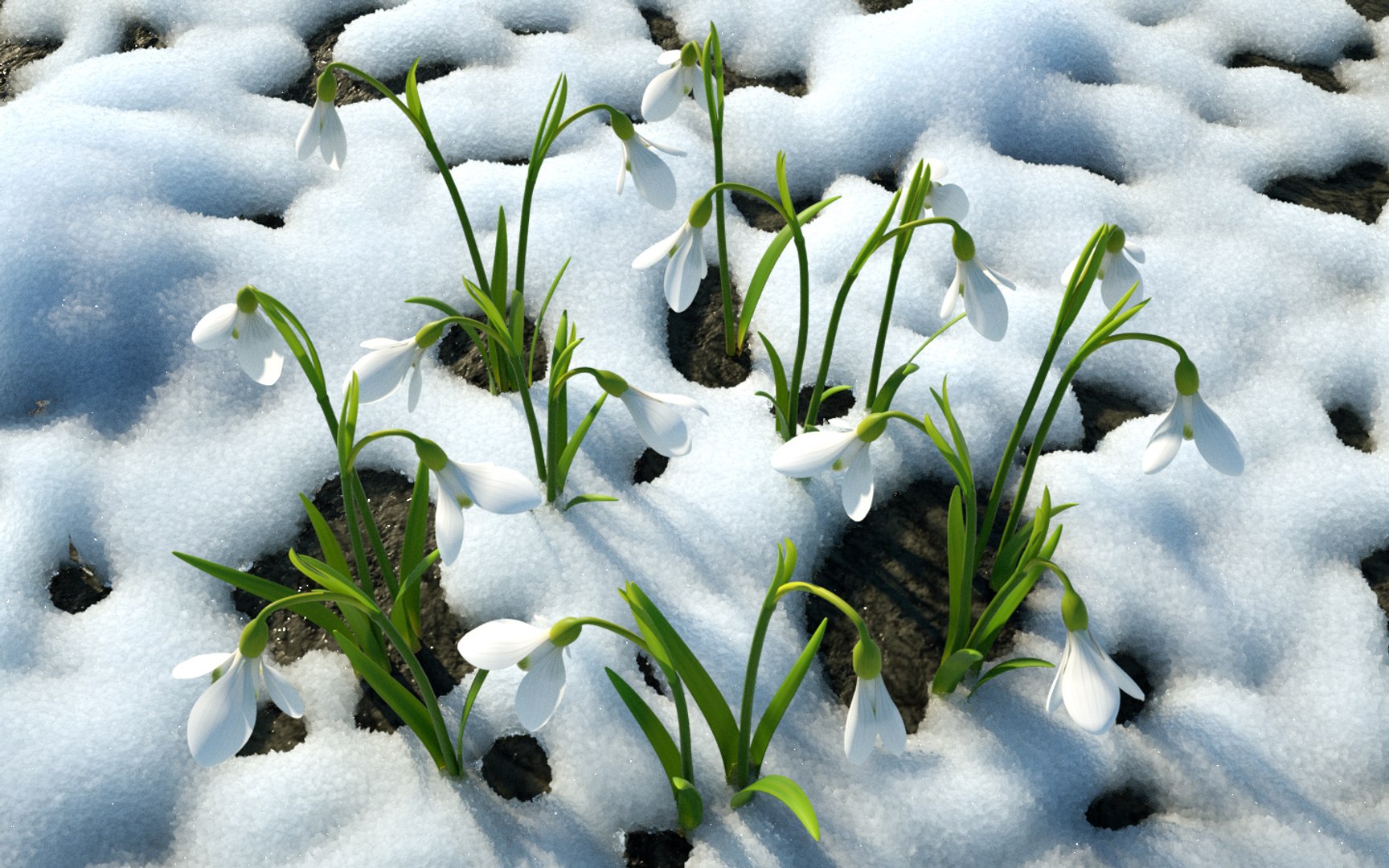 3D Snowdrop Flower Model - TurboSquid 1364337