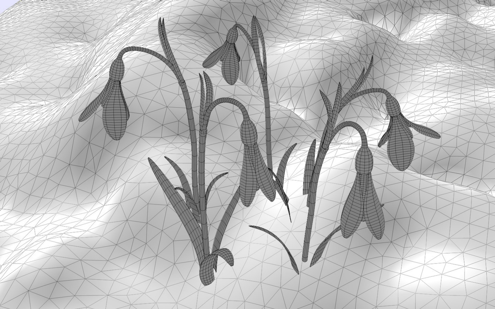 3D Snowdrop Flower Model - TurboSquid 1364337