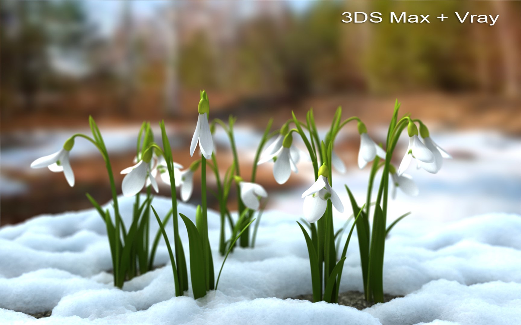3D Snowdrop Flower Model - TurboSquid 1364337