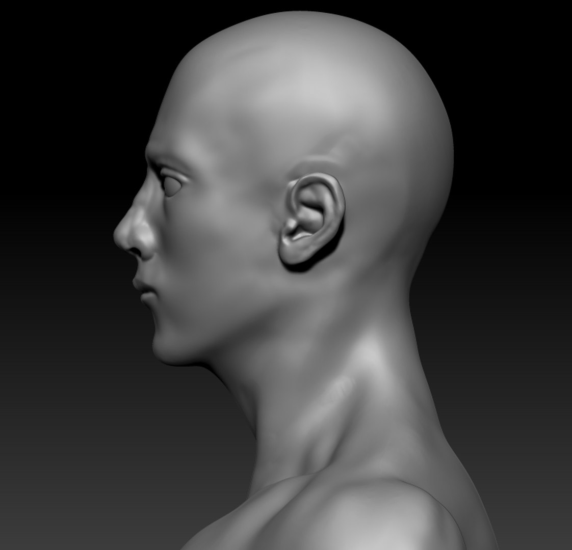 Male Human Topology 3D Model - TurboSquid 1386409