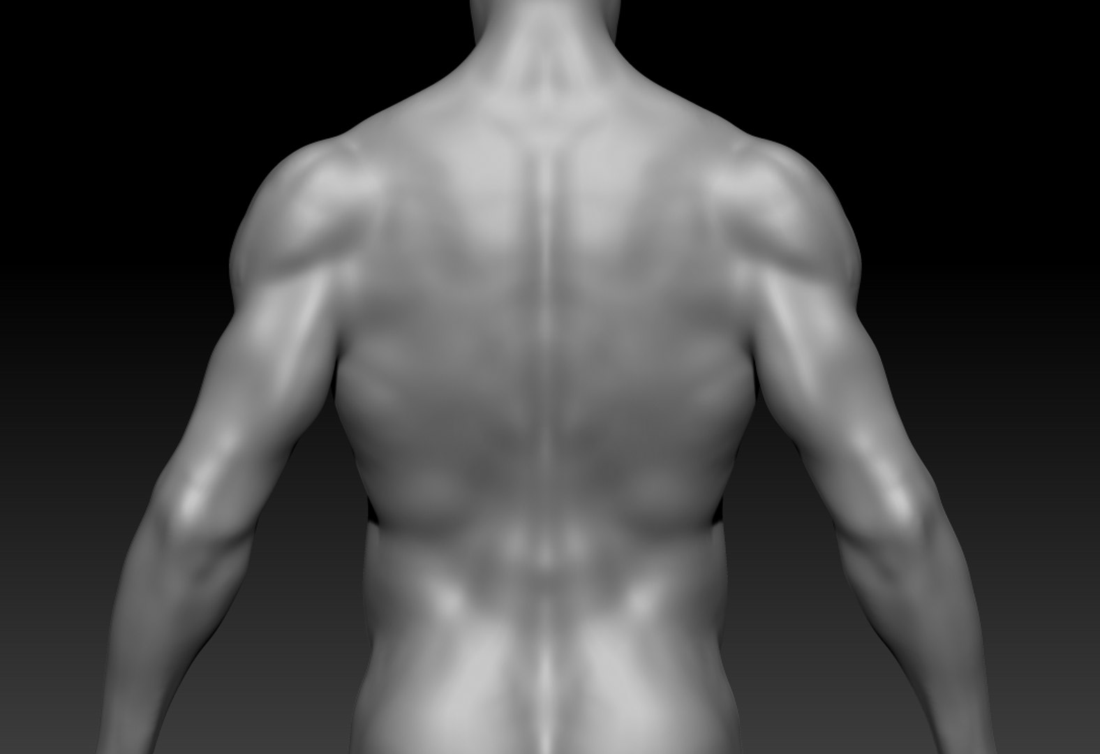 Male Human Topology 3D Model - TurboSquid 1386409