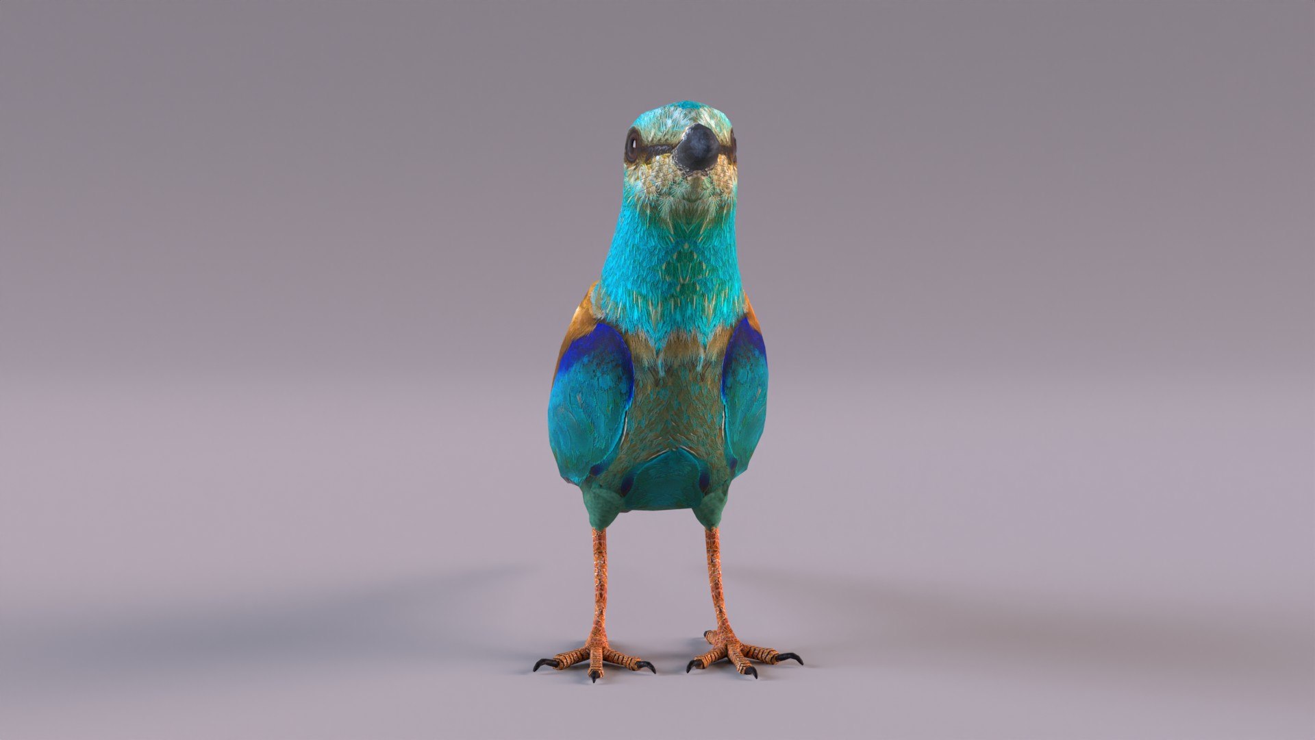 European Roller 3D Model - TurboSquid 2067265