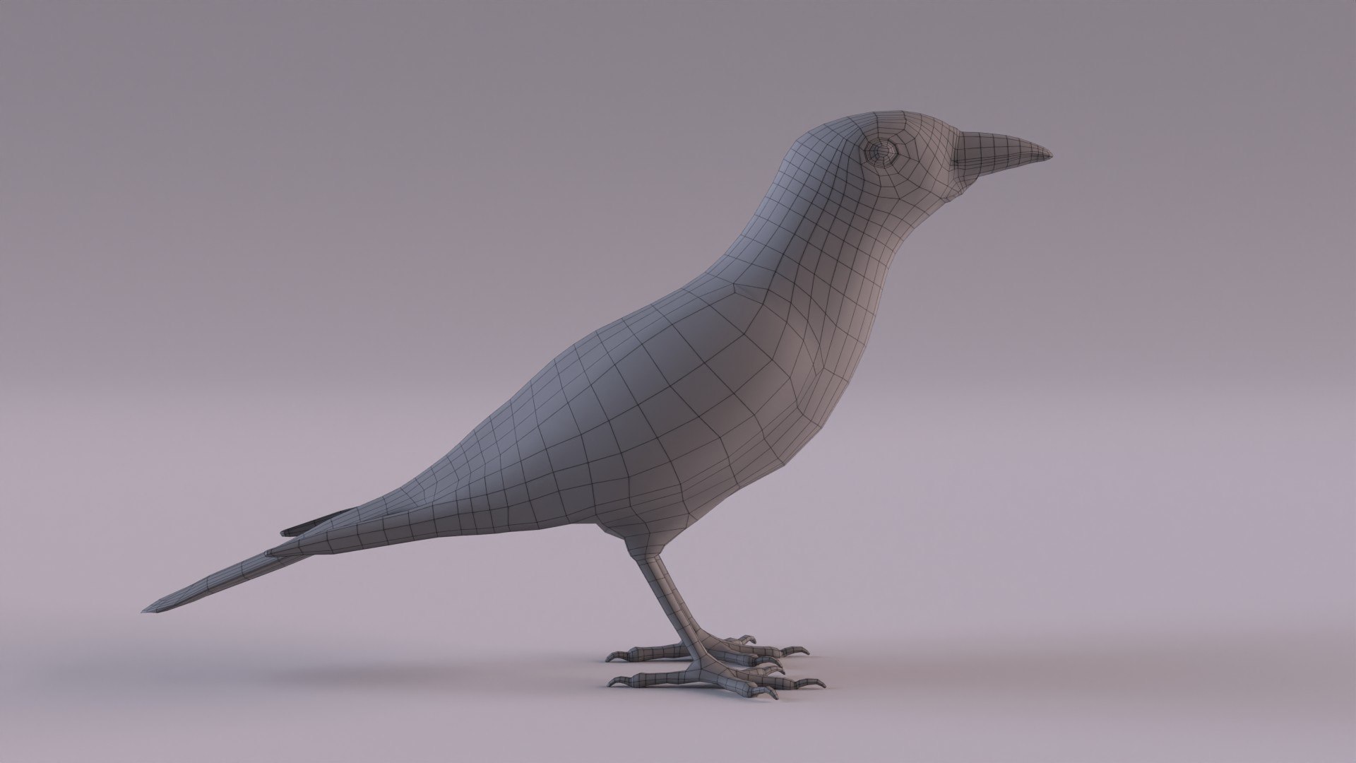 European Roller 3D Model - TurboSquid 2067265