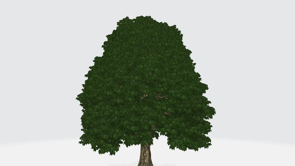 Big tree 3D 모델 - TurboSquid 1956164