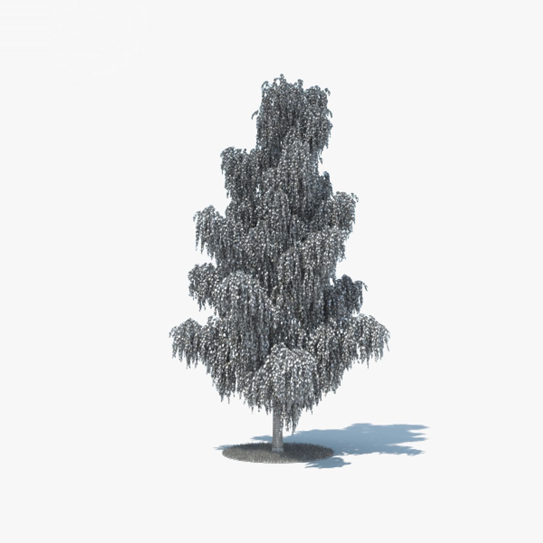 3D birch tree - TurboSquid 1467763