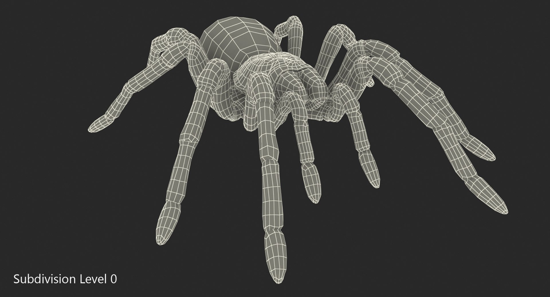 Goliath birdeater fur rigged 3D model - TurboSquid 1258130