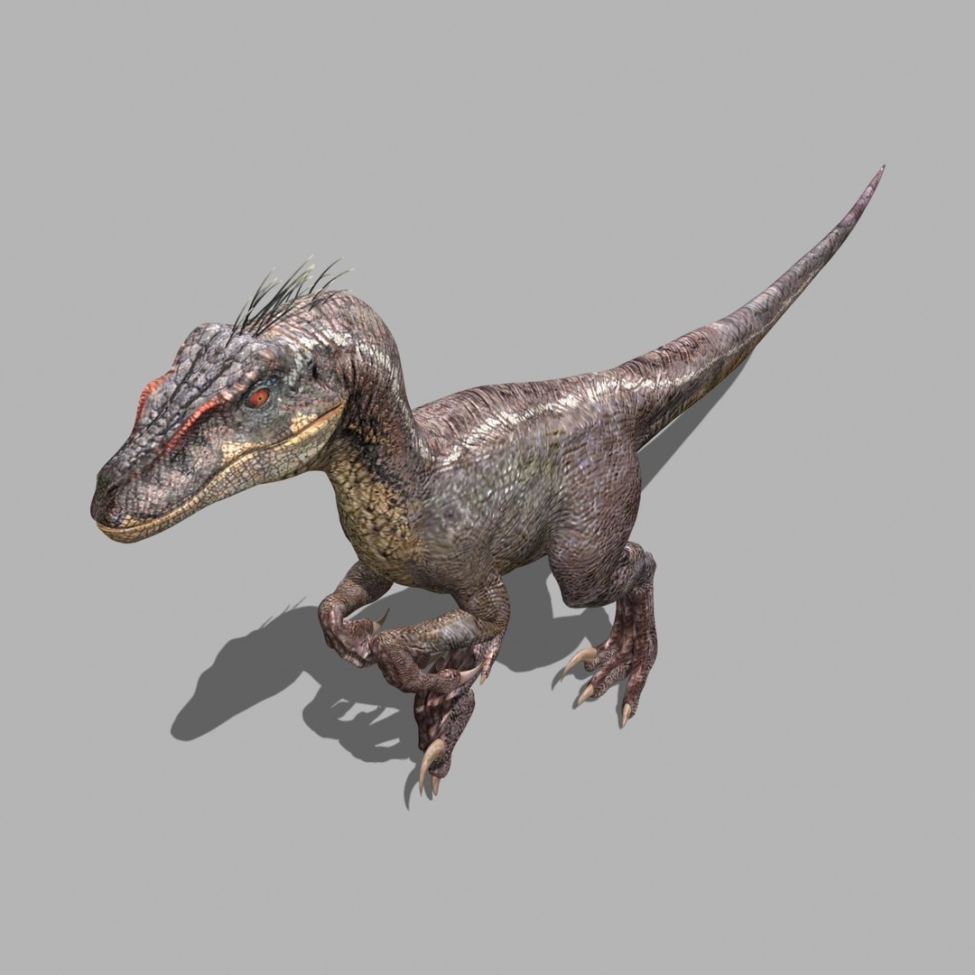 Jurassic Park Raptor 3d Model