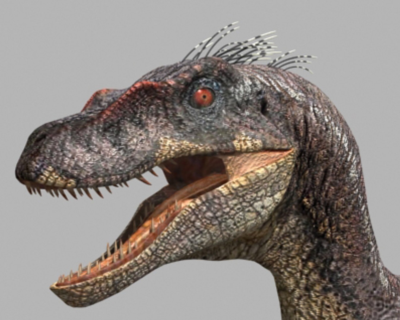 Jurassic Park Raptor 3d Model
