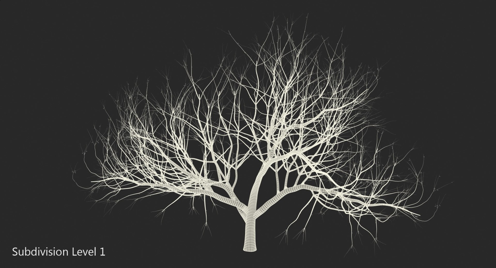 Small Winter Tree 3D Model - TurboSquid 1378039
