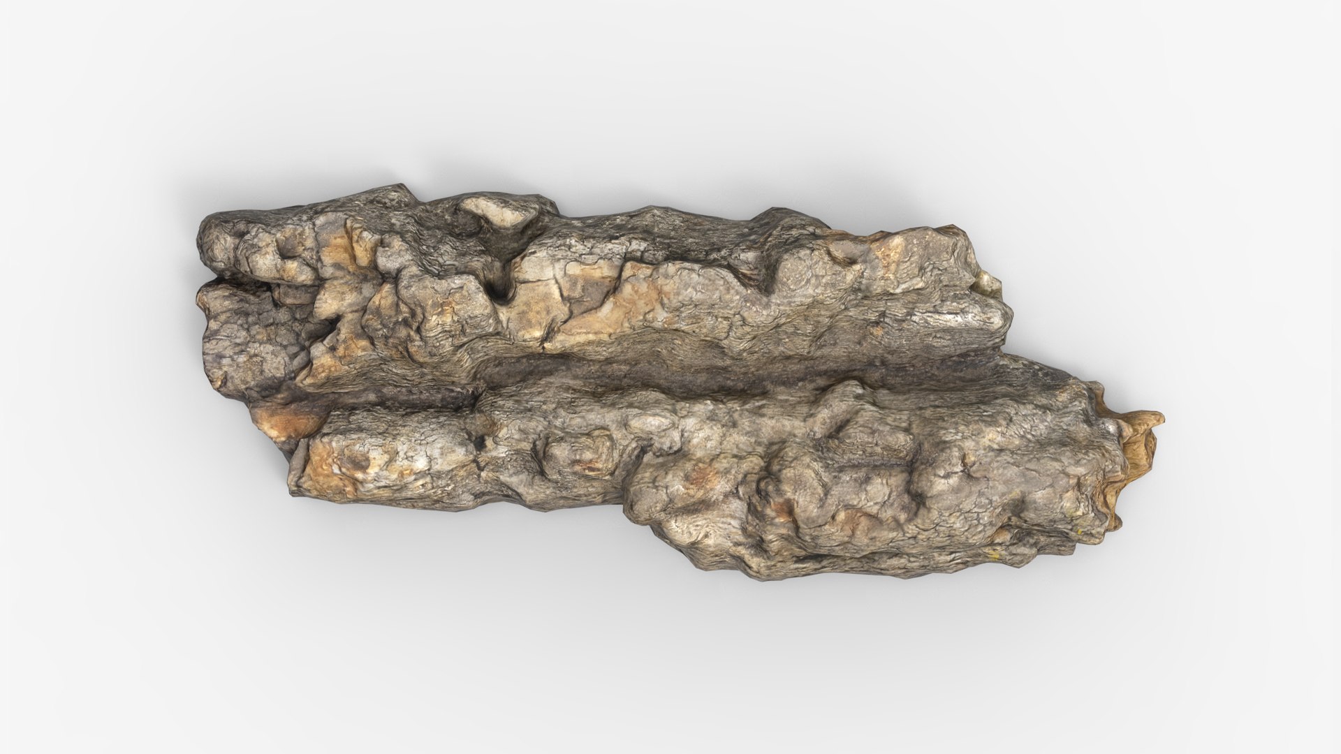 3D Tree Bark - TurboSquid 1972277