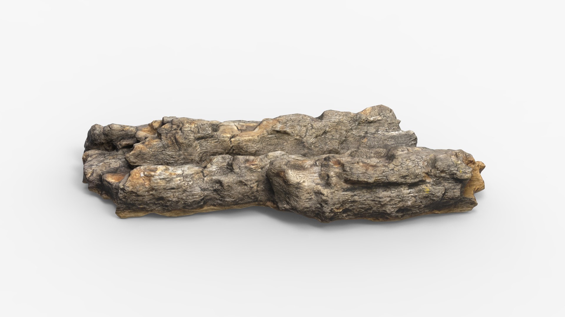3D Tree Bark - TurboSquid 1972277