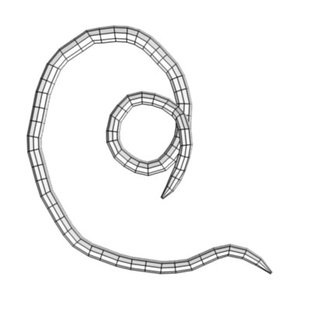Worm 3d Model
