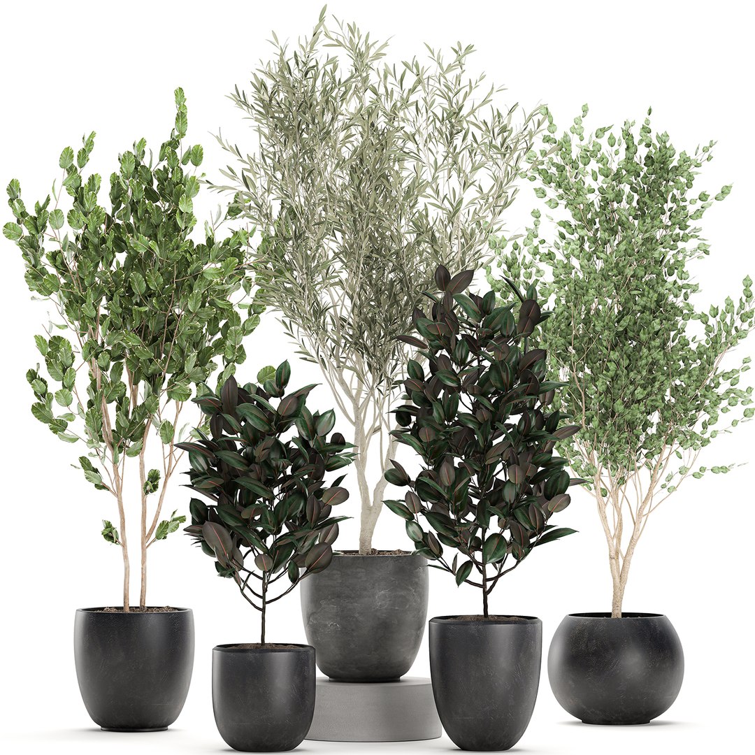 Decorative Trees Interior Black 3D Model - TurboSquid 1621113