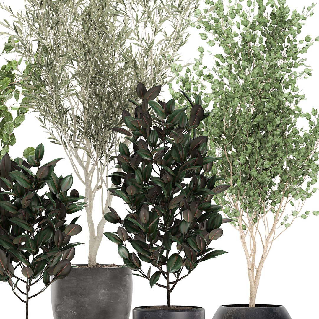 Decorative Trees Interior Black 3D Model - TurboSquid 1621113