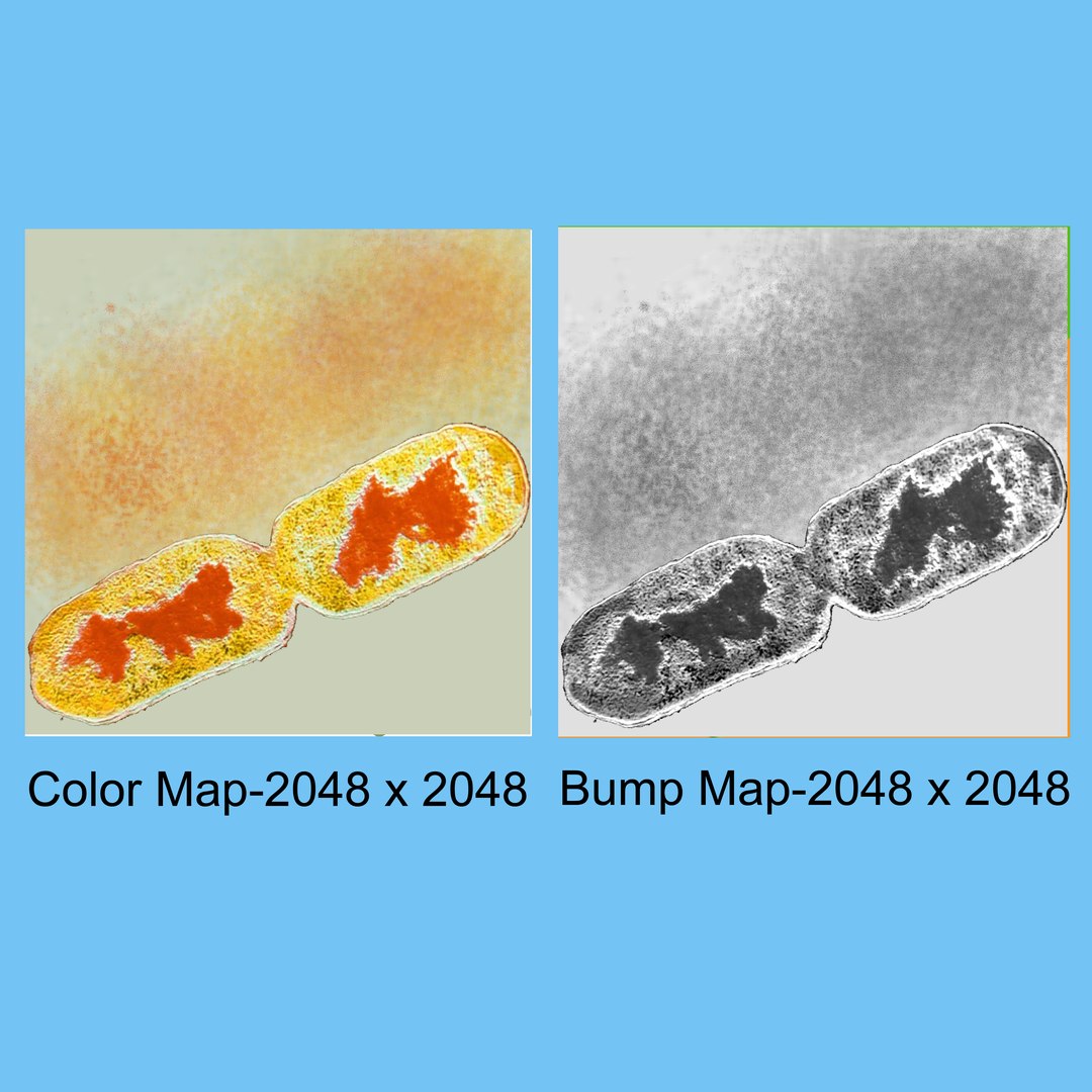 3D Binary Fission - TurboSquid 1262456