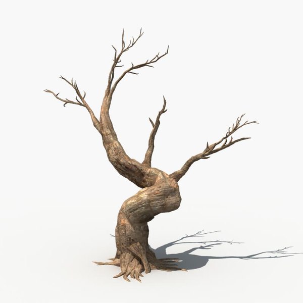 scary tree dry 3d x