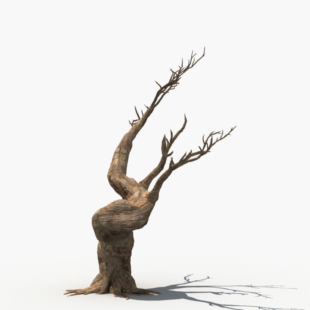 3d model scary tree dry