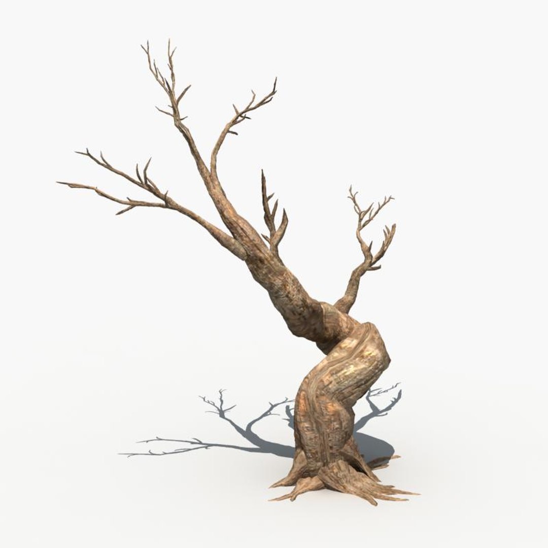 3d model scary tree dry