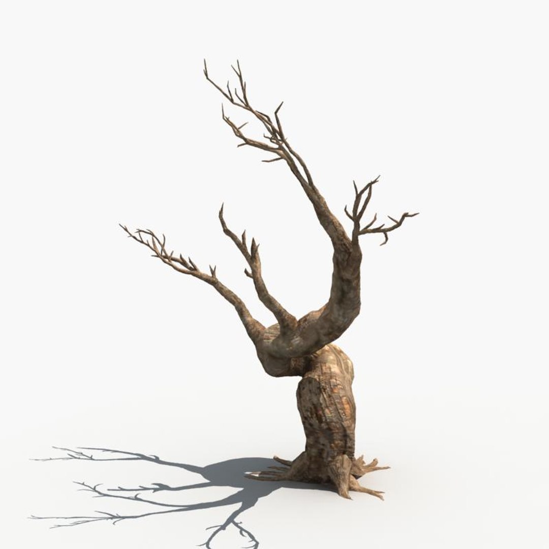 3d model scary tree dry