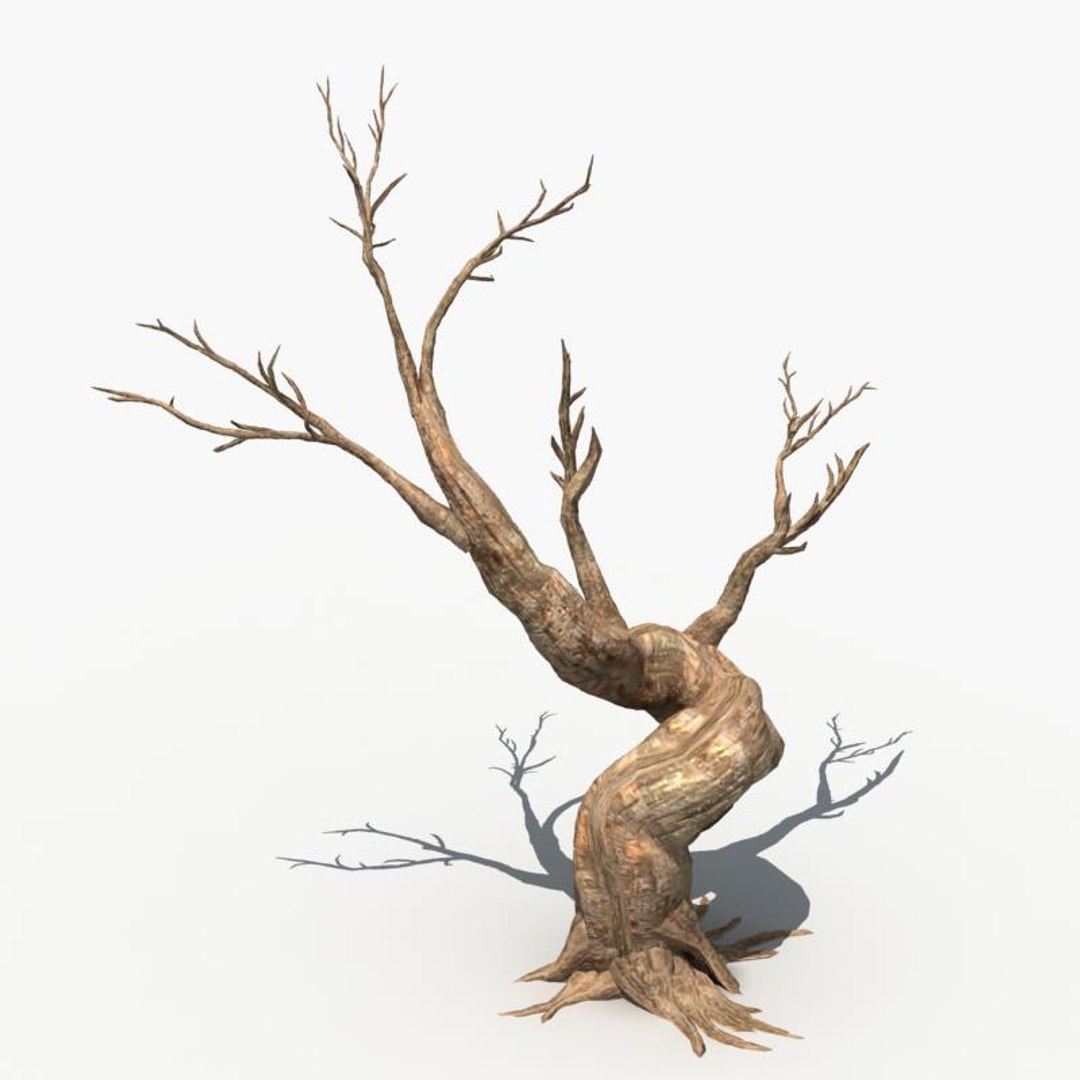 3d model scary tree dry