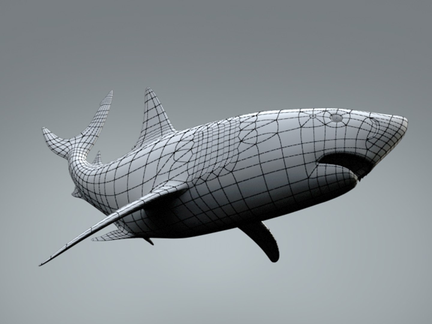 3d shark fully rigged animation bones