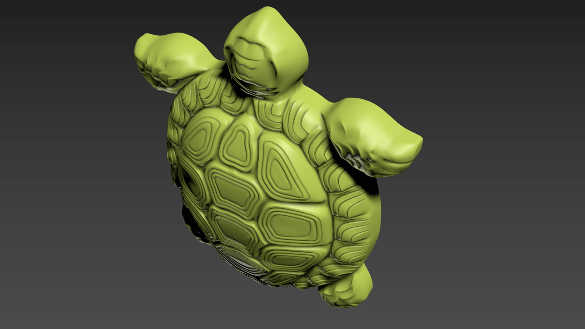 3D model Turtle - TurboSquid 2175753