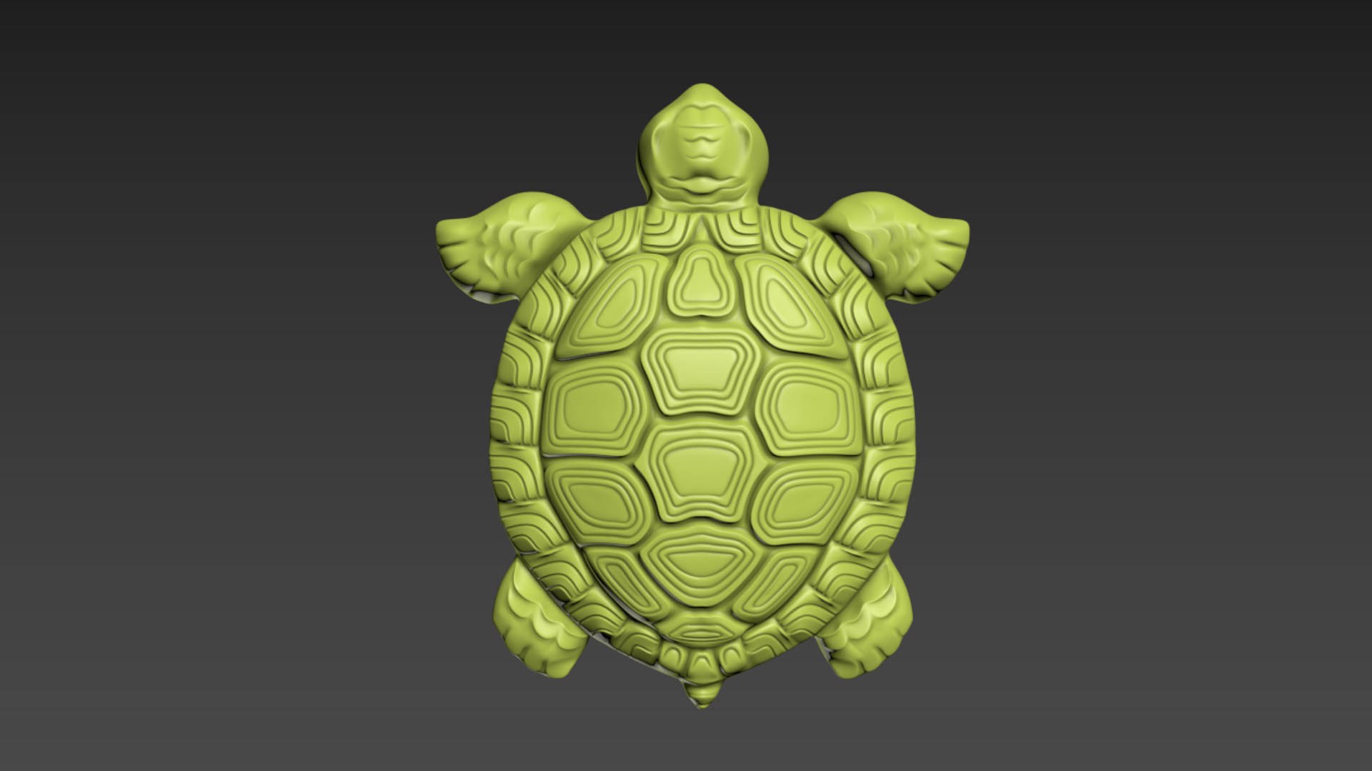 3D model Turtle - TurboSquid 2175753