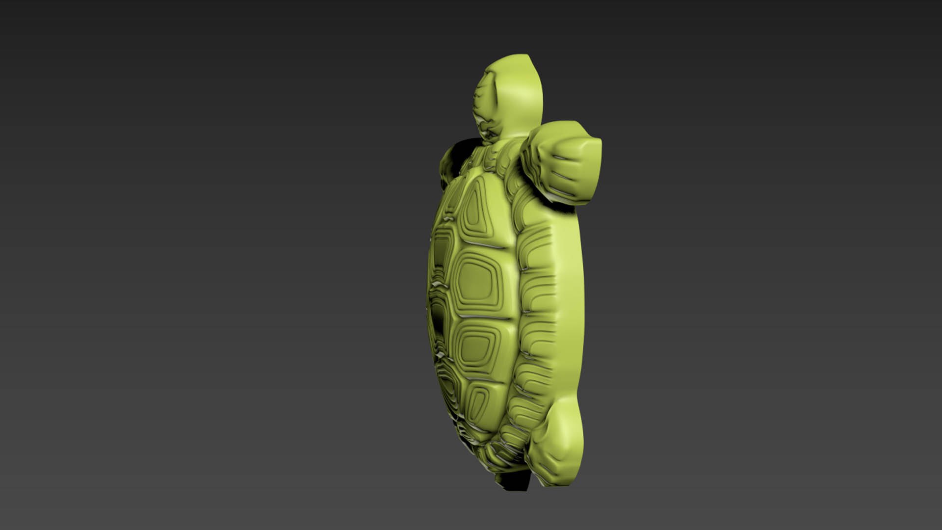 3D model Turtle - TurboSquid 2175753