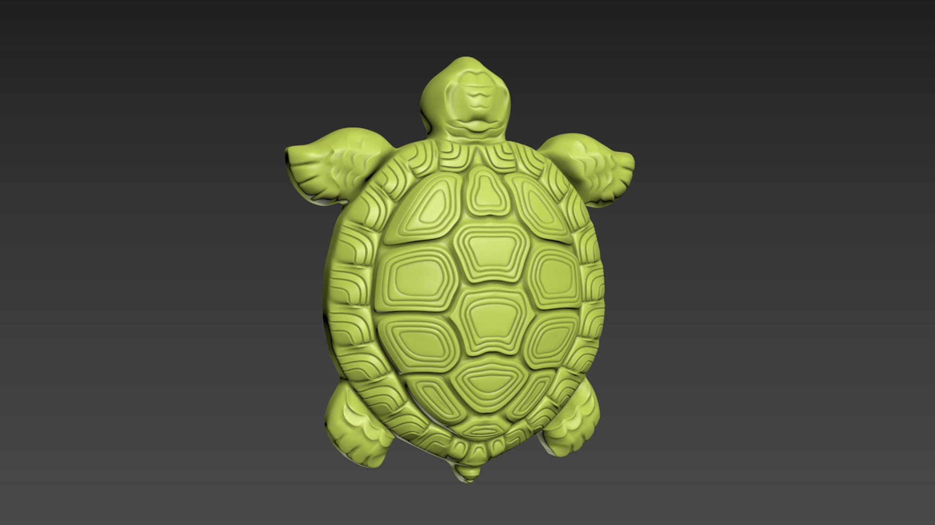 3D model Turtle - TurboSquid 2175753