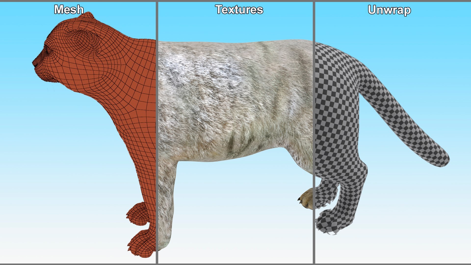 3D Cat Rigged Animated For Maya Model - TurboSquid 2280785