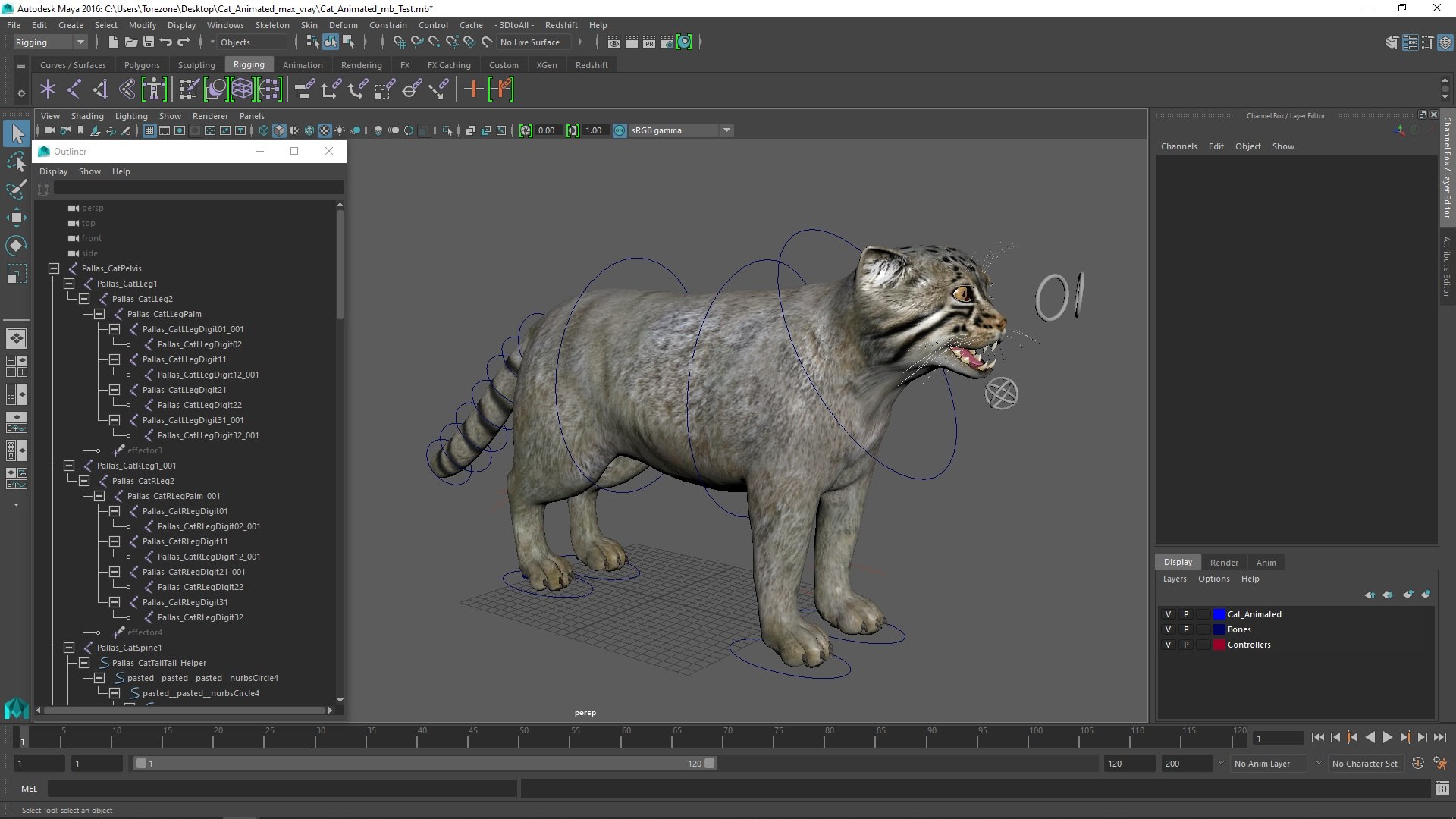 3D Cat Rigged Animated For Maya Model - TurboSquid 2280785
