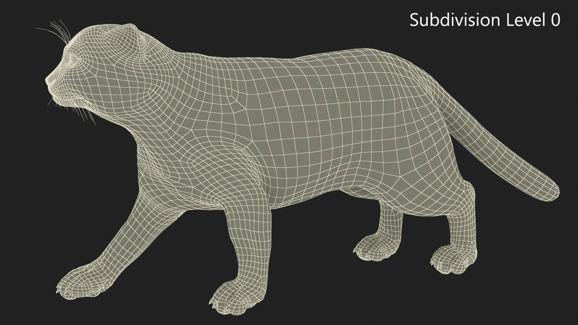 3D Cat Rigged Animated For Maya Model - TurboSquid 2280785