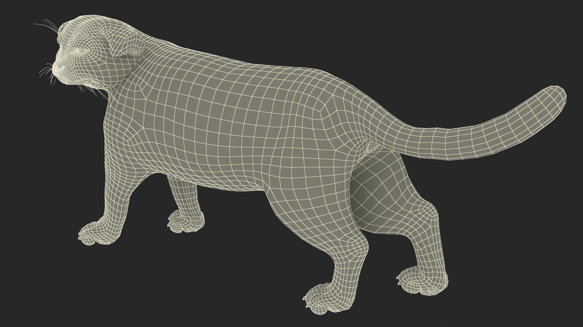 3D Cat Rigged Animated For Maya Model - TurboSquid 2280785