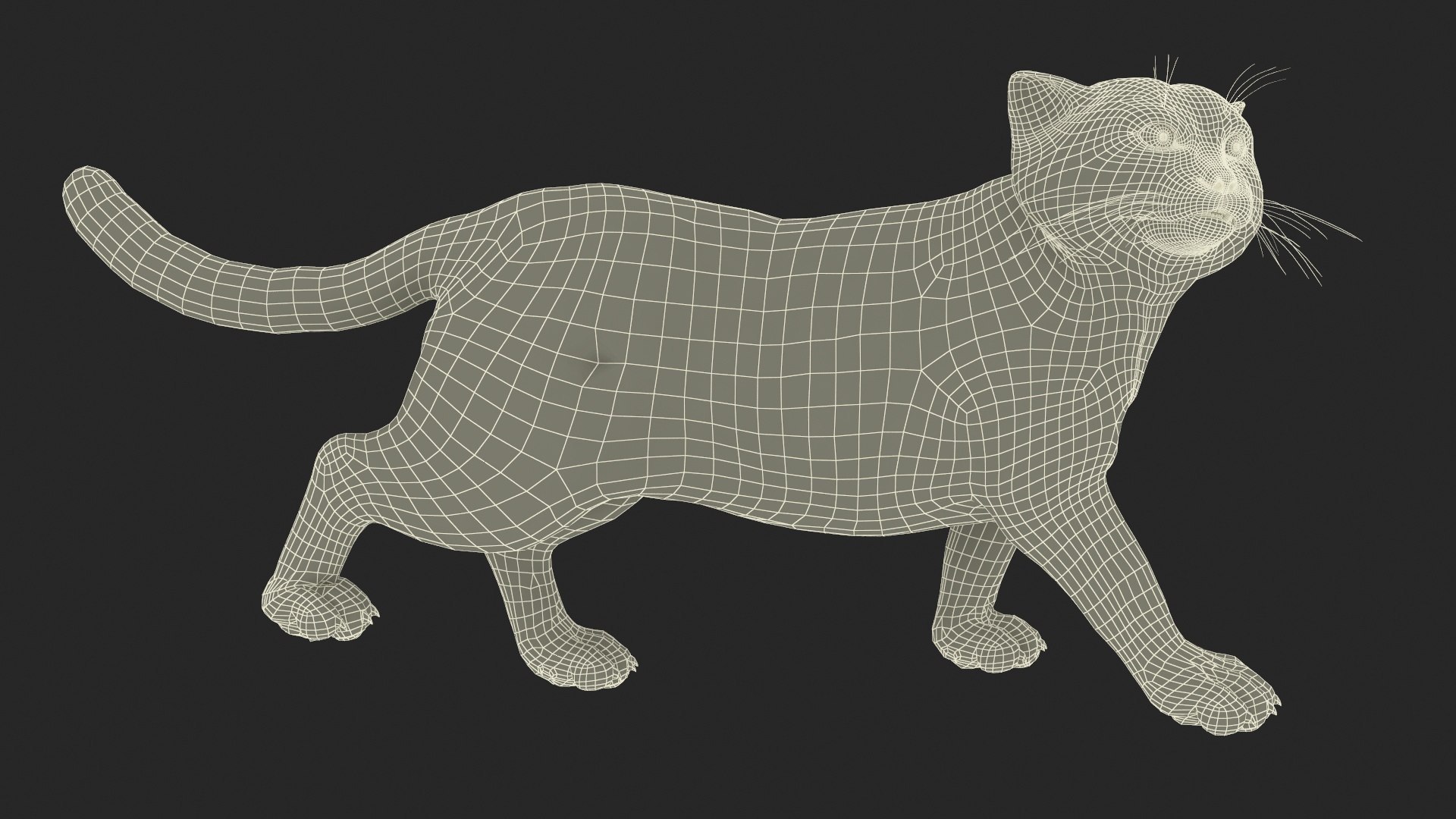 3D Cat Rigged Animated For Maya Model - TurboSquid 2280785