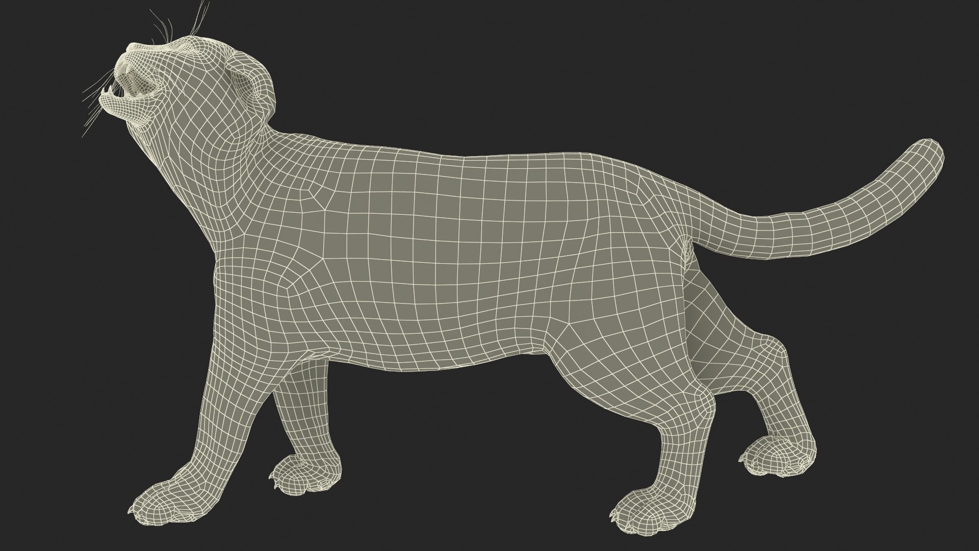 3D Cat Rigged Animated For Maya Model - TurboSquid 2280785