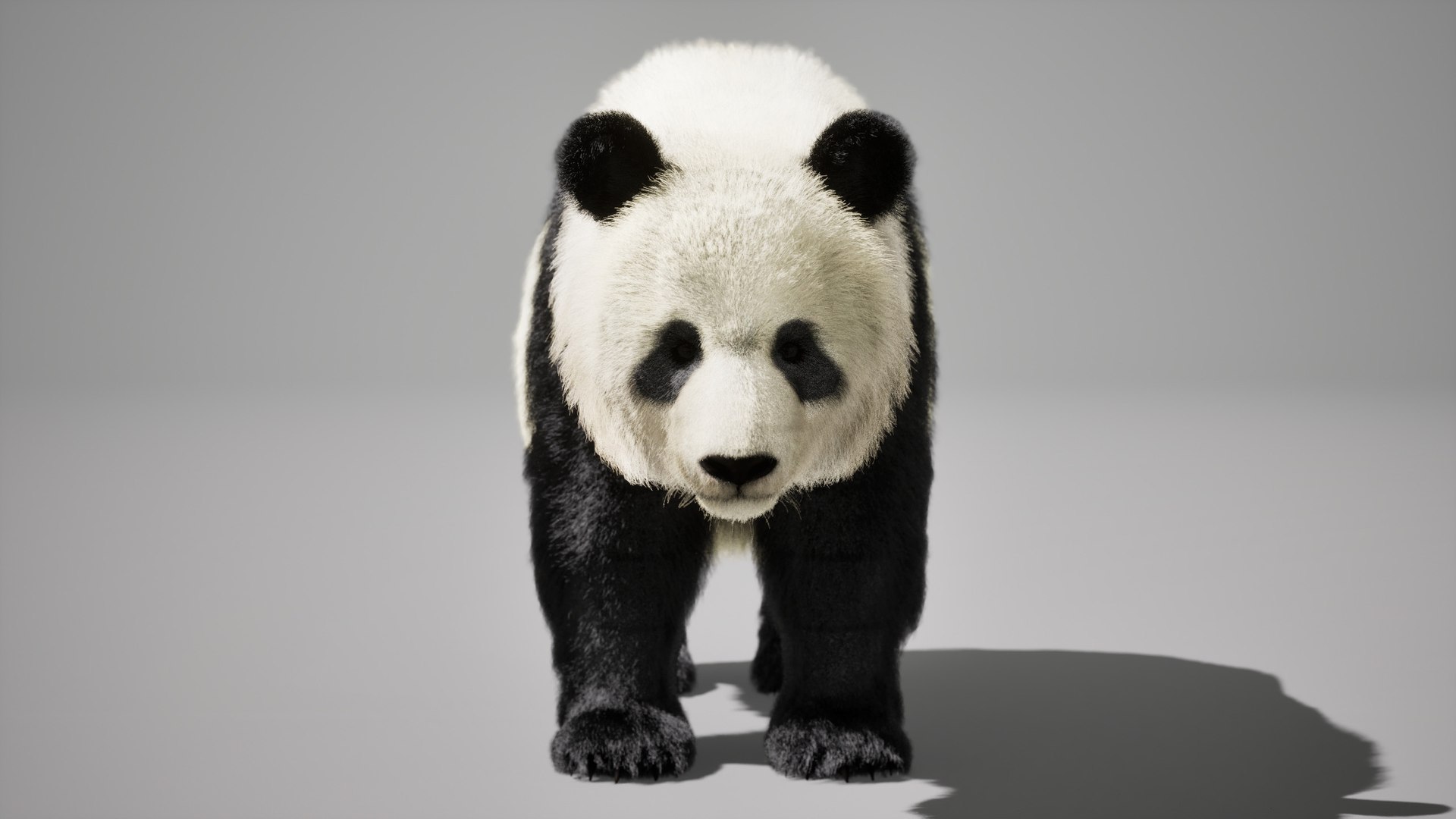 Panda Rig UNREAL Project 3D Model - TurboSquid 2293159