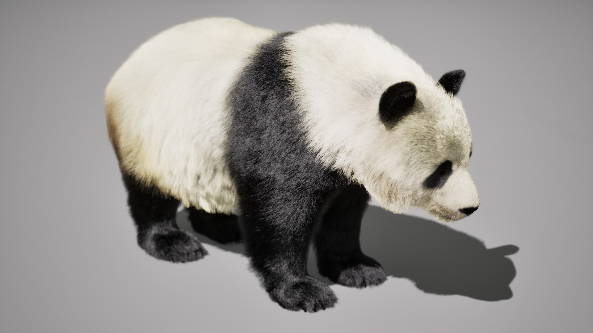Panda Rig UNREAL Project 3D Model - TurboSquid 2293159