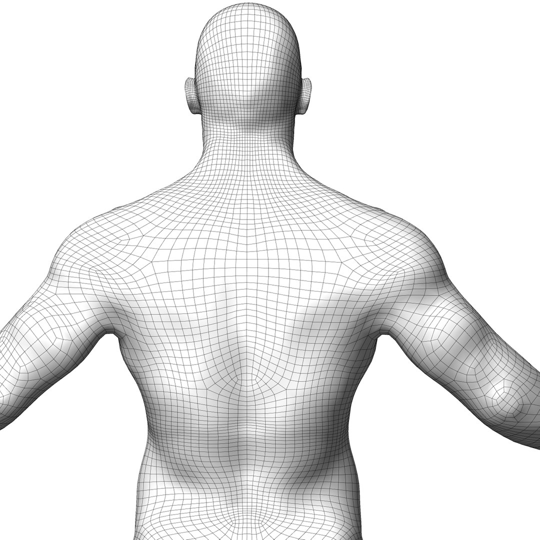 3d Model Character Rig