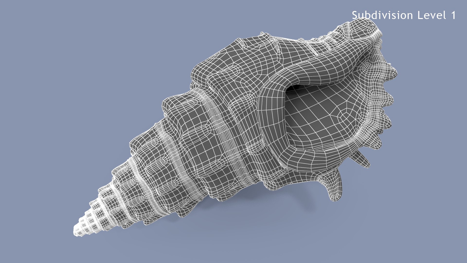 Sea Shell 0102 3D - TurboSquid 1736217
