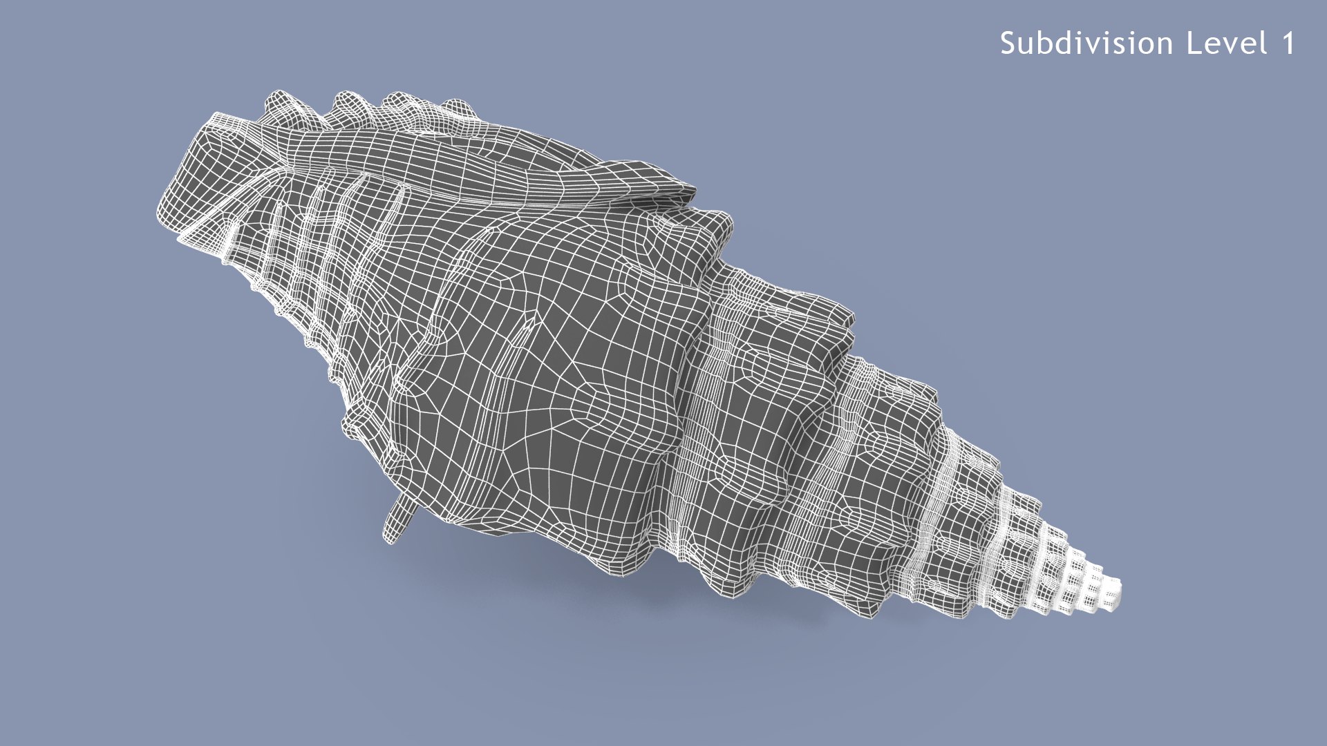 Sea Shell 0102 3D - TurboSquid 1736217