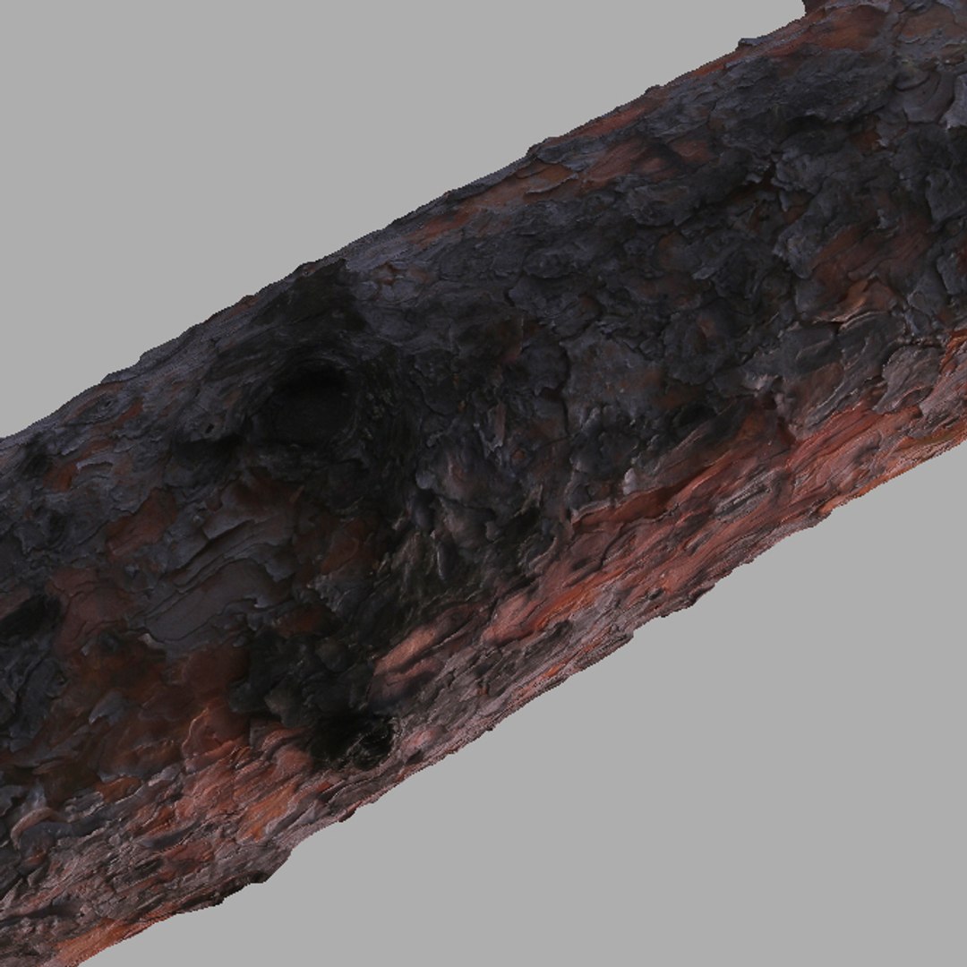 Pine Bark Raw Scan 3d Model