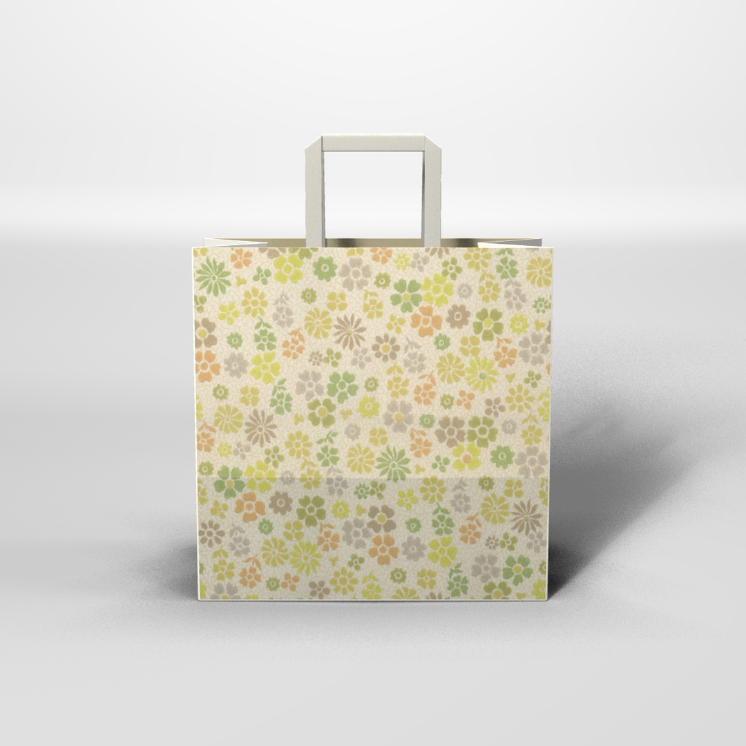 3ds Shopping Bag