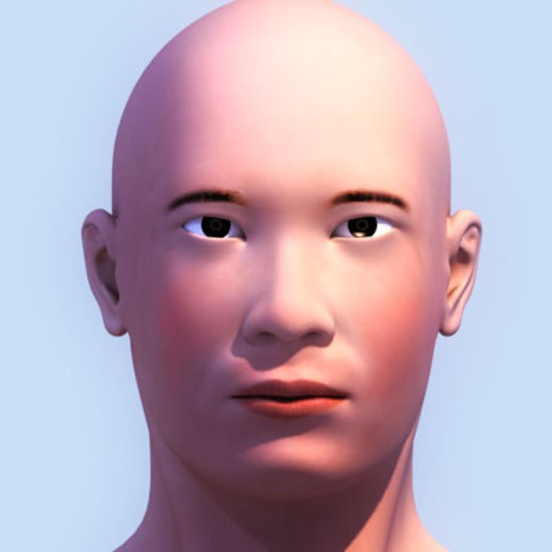 3d head asian