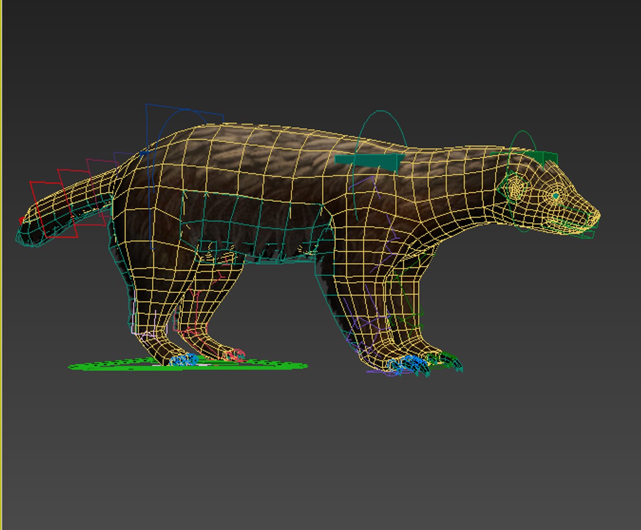 Ratel Low-poly Model - TurboSquid 1469345